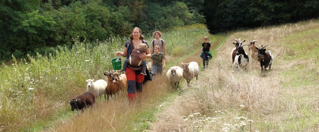 CesFur 2025 Charity - Furry Refuge Online Furry Community