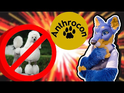 Anthrocon’s Poodle Policy: A New Era For Furcons? - Furry Refuge Online ...