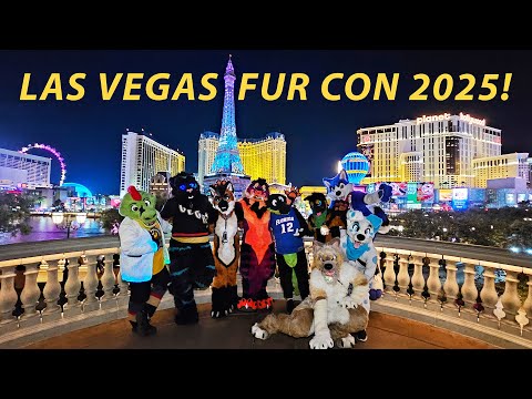 Arctic’s Las Vegas Fur Con 2025 Experience - Furry Refuge Online Furry ...