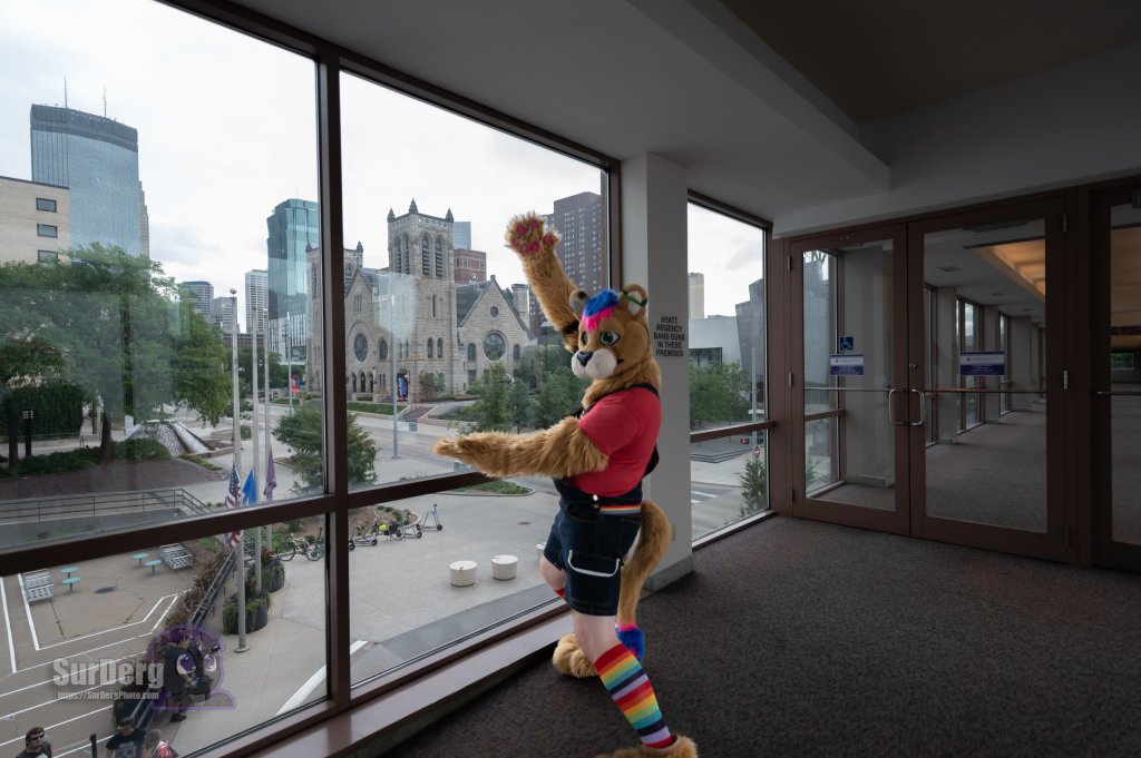 Furry Migration Restaurant Issue Fixed - Furry Refuge Online Furry ...